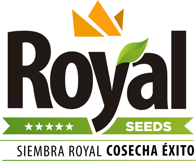Royal Seeds